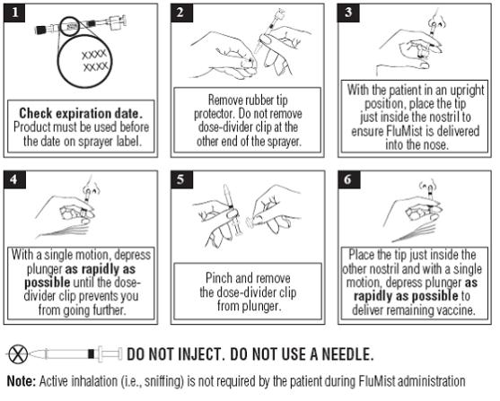 Flumist Package Insert Prescribing Information Drugs